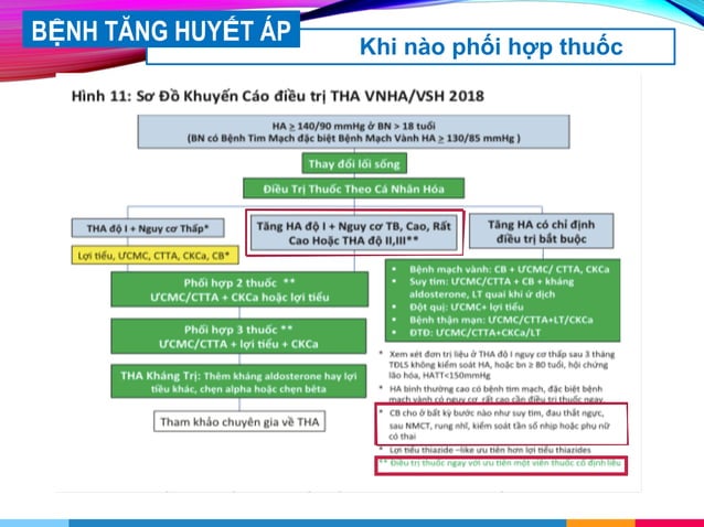 Phối hợp thuốc trong điều trị tăng huyết áp | PDF