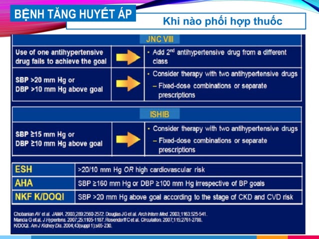 Phối hợp thuốc trong điều trị tăng huyết áp | PDF