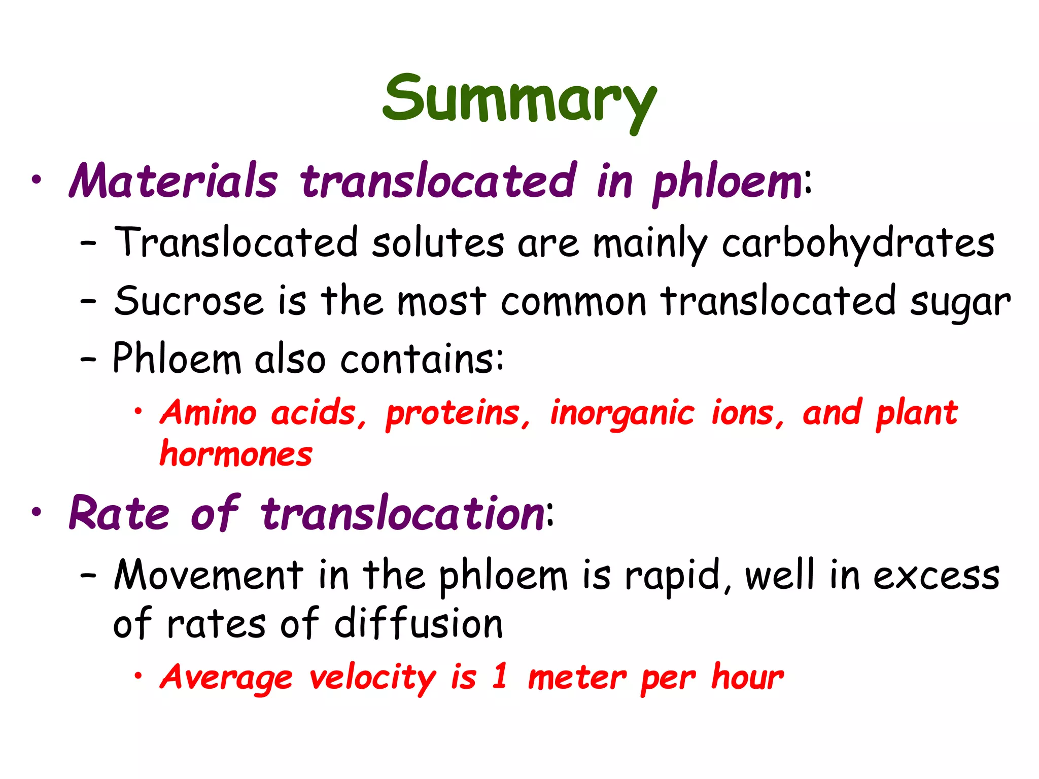 pholoem loading.ppt