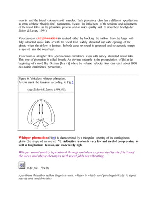 Phonation | DOCX