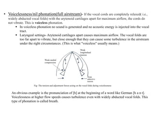 PHONATION.pptx