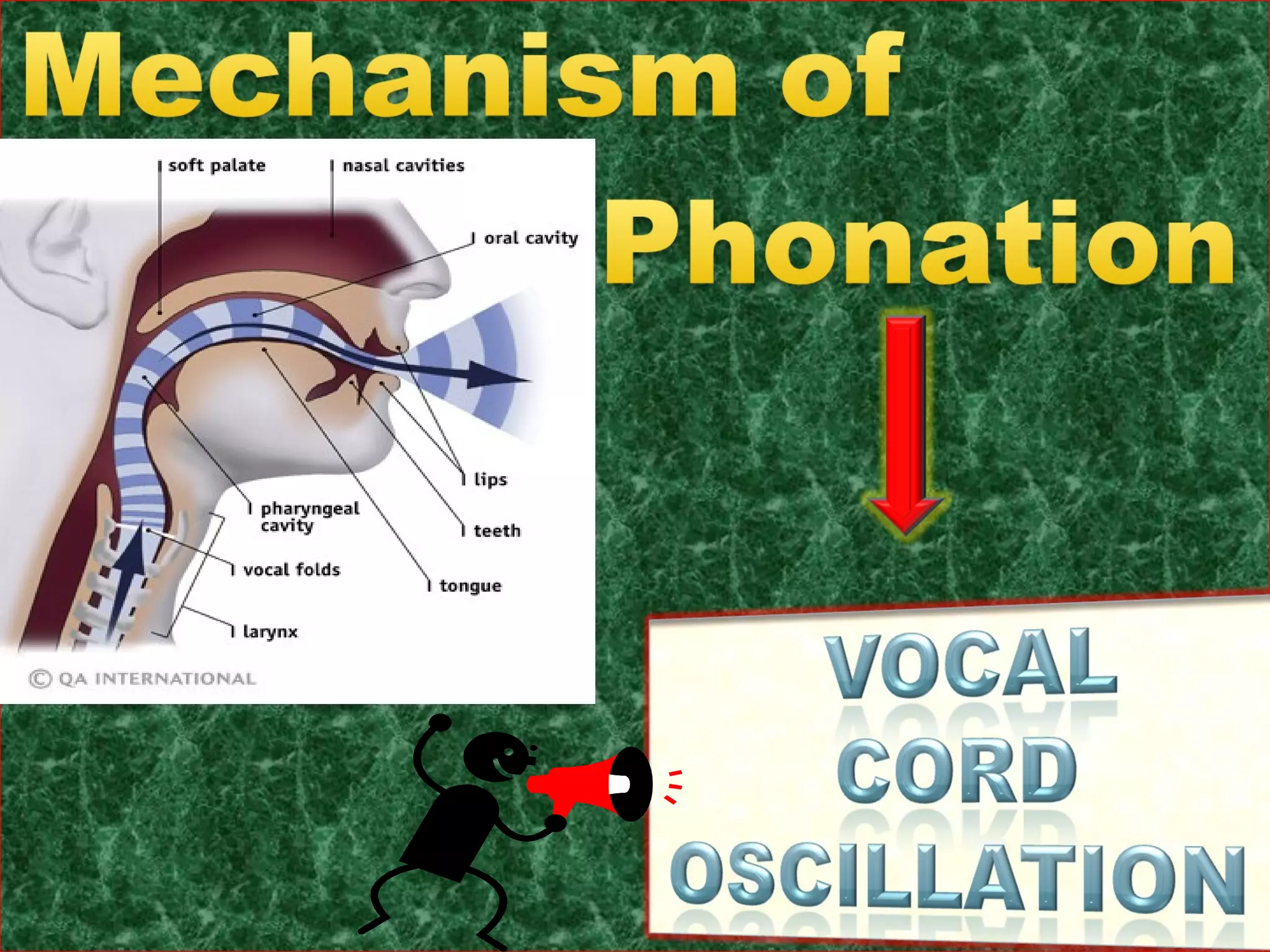 PHONATION - DR NITIN ANIYAN THOMAS (NATS) | PPT
