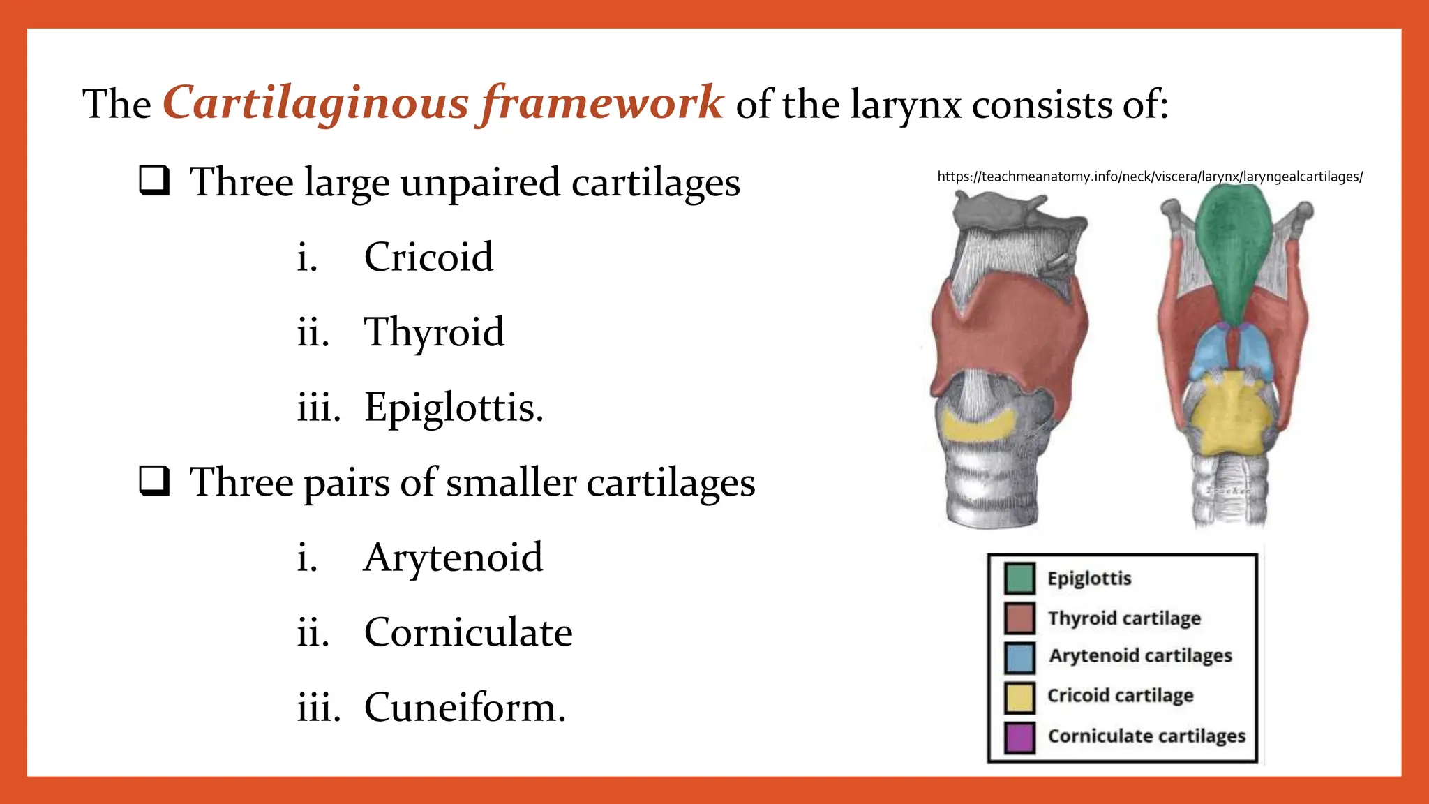 Phonatory System- Anatomy & Physiology.pptx