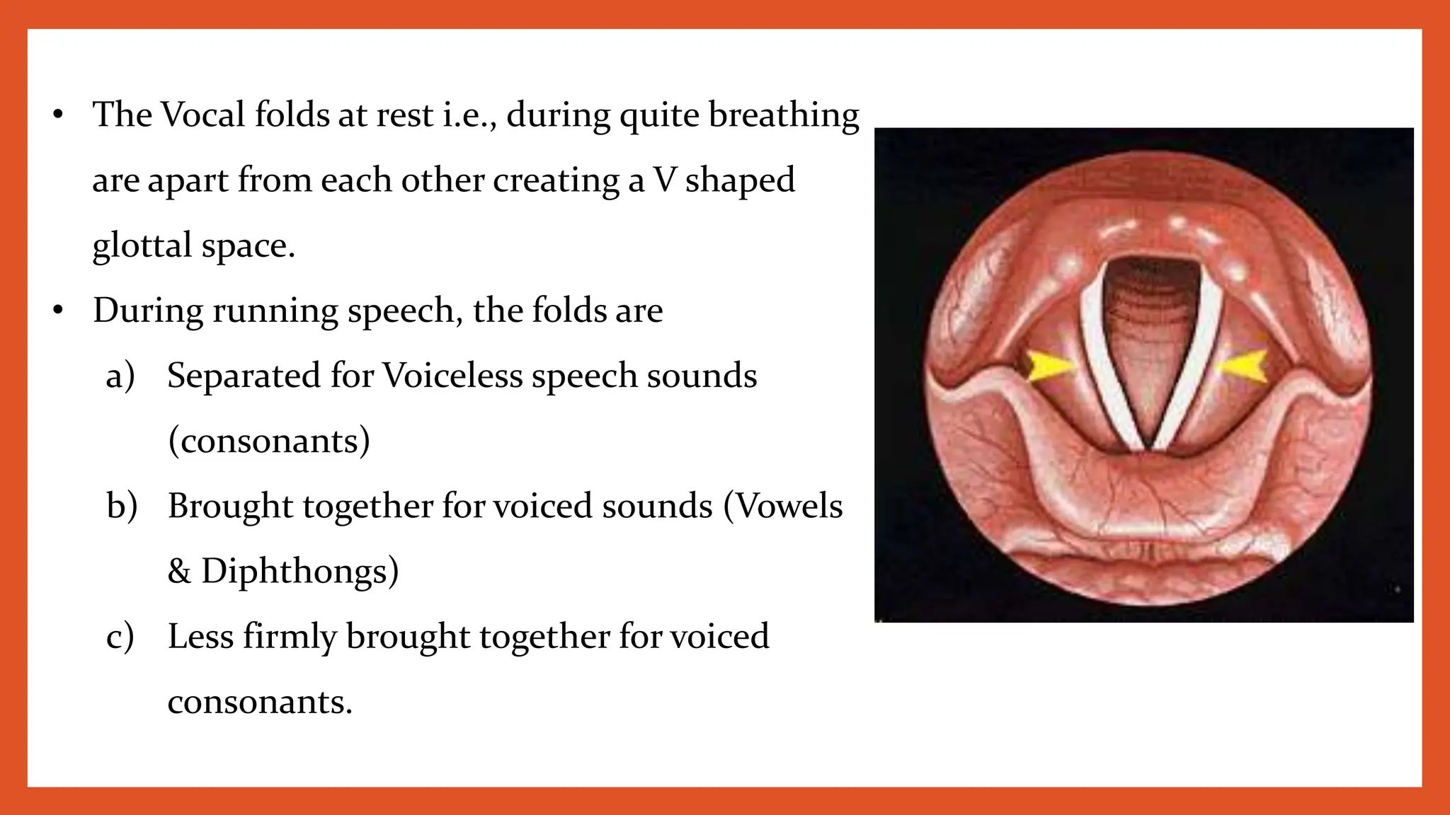 Phonatory System- Anatomy & Physiology.pptx