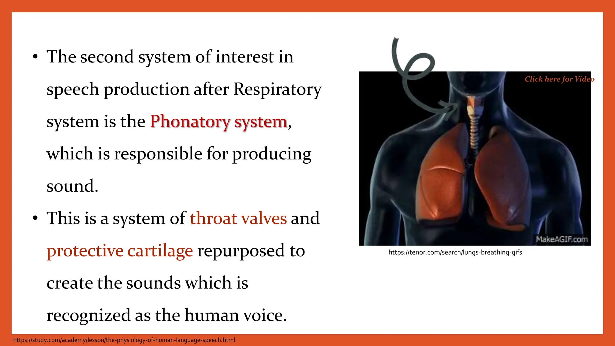 Phonatory System- Anatomy & Physiology.pptx