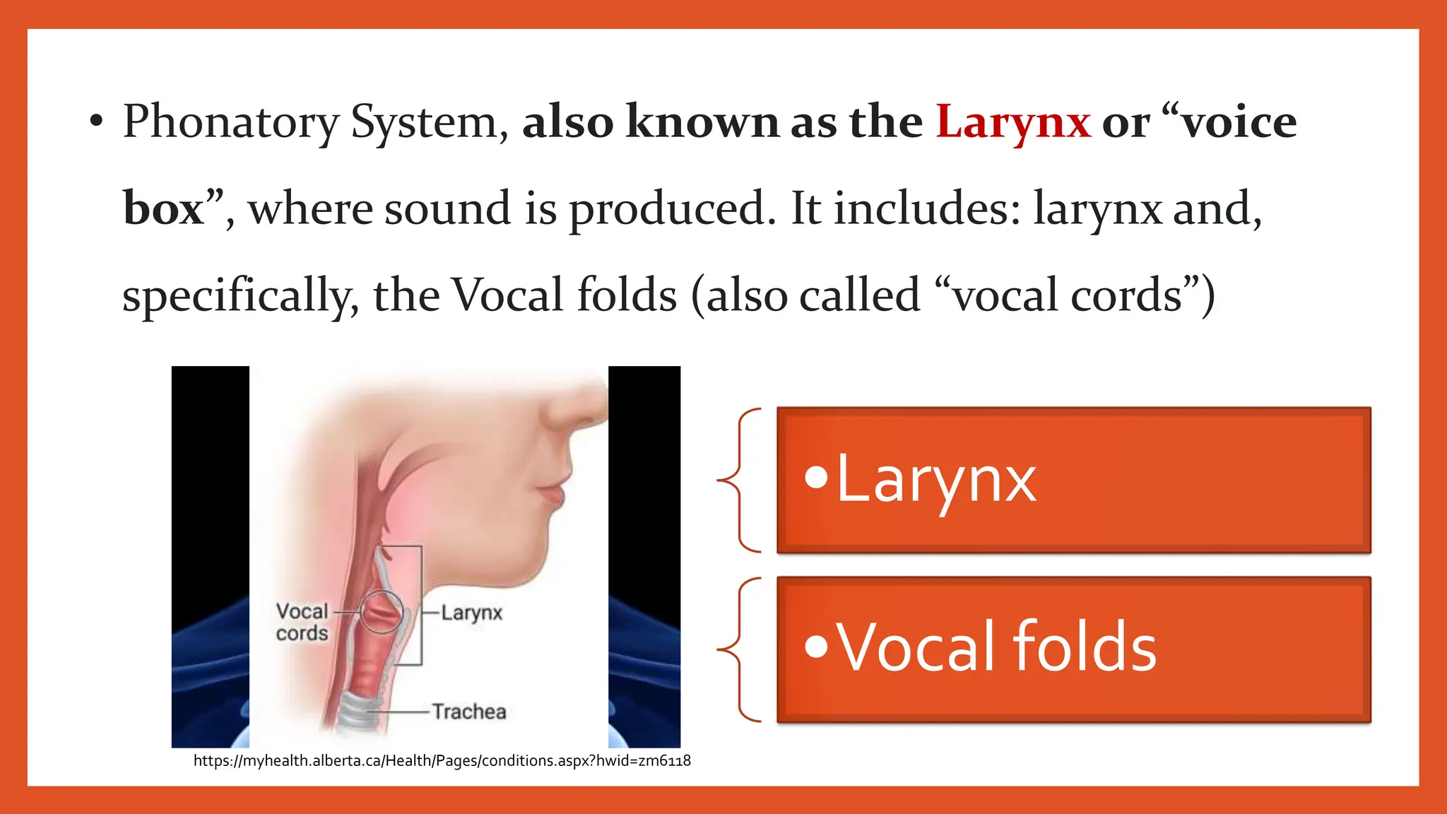 Phonatory System- Anatomy & Physiology.pptx