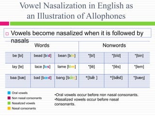 Oral Configurations During Vowel Nasalization In English – RYWXSV
