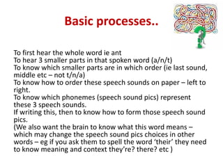 Wiring all brains for reading and spelling - phonemic awareness is ...