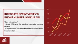 Phone Number Lookup API by SprintVerify.pdf