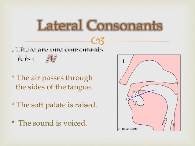 Consonants of English