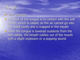 introduction phonetic-and-phonology.pptx
