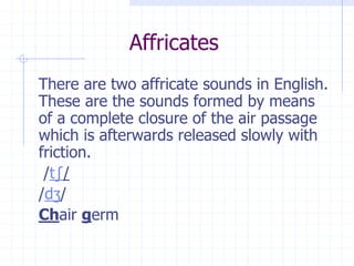 Phonetic and Phonology | PPTX