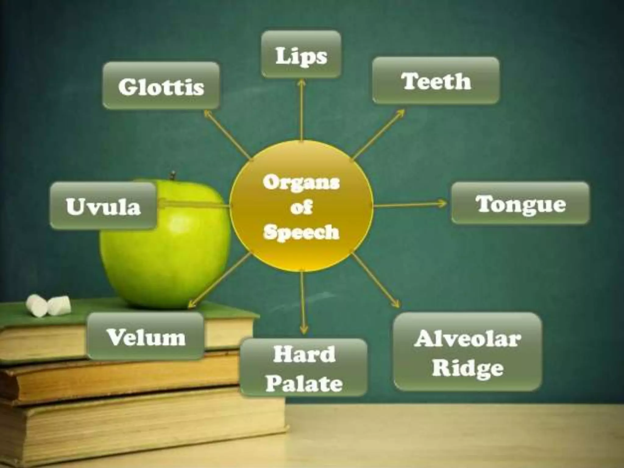 Phonetic and Phonology with images | PPTX