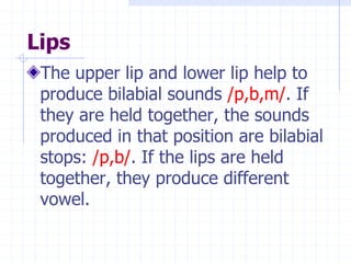 Phonetic and Phonology with images | PPTX