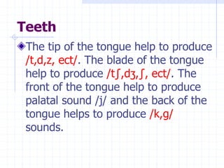 Phonetic and Phonology with images | PPTX