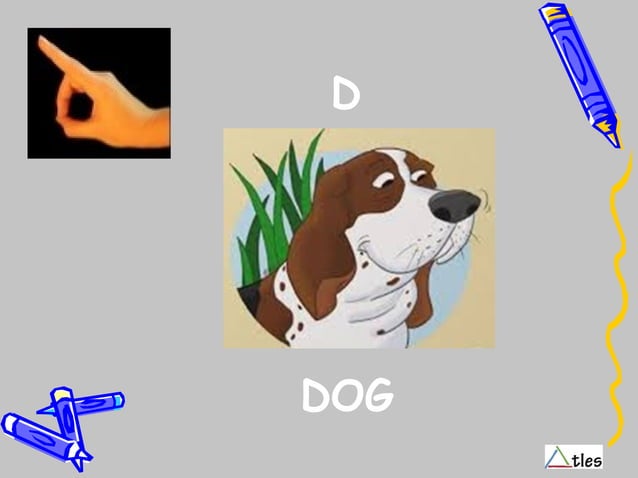 Phonetic alphabet pp | PPT