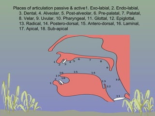 Phonetic and phonology pp2 | PPT