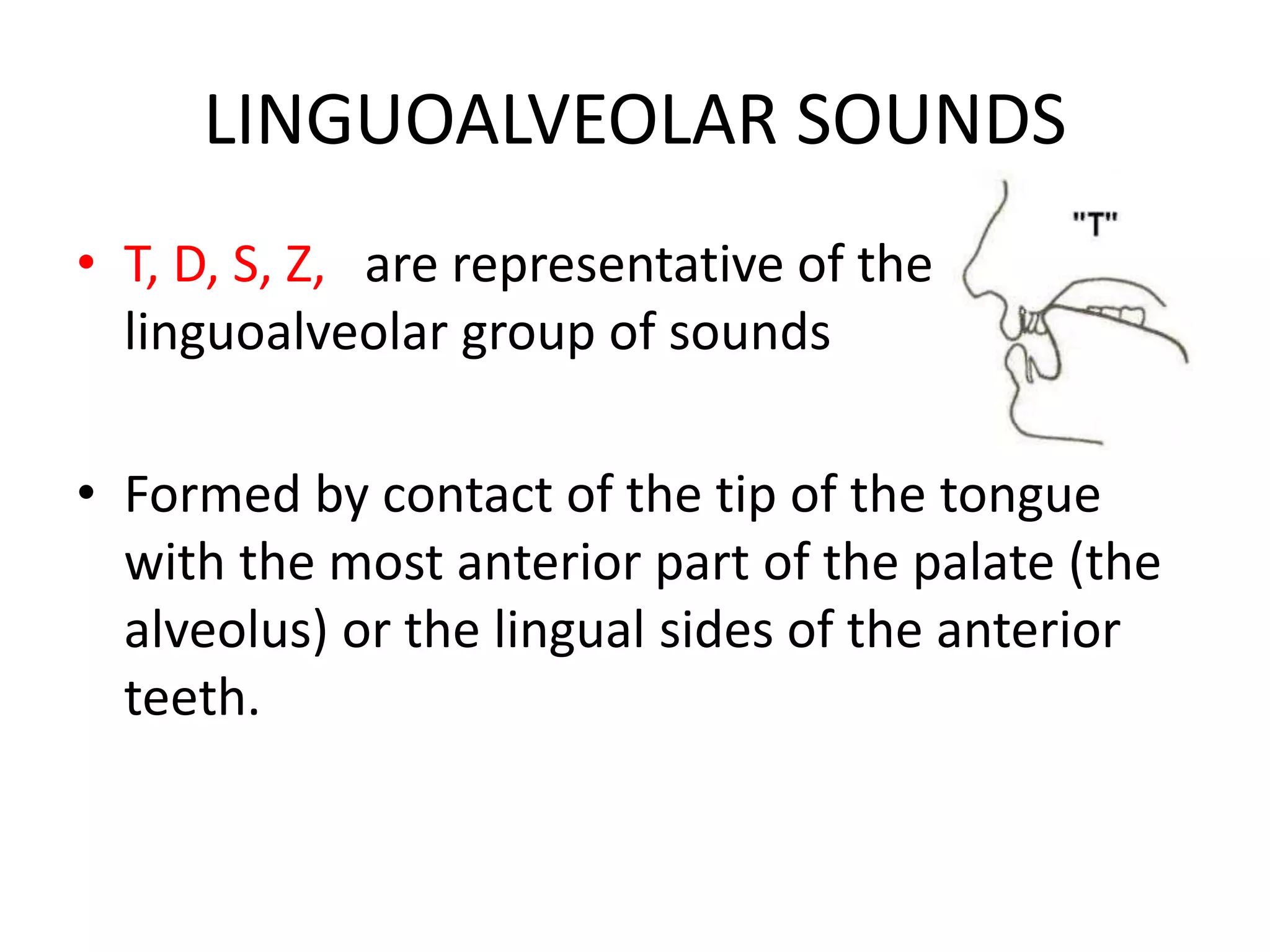 Phonetic in complete denture | PPTX