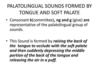 Phonetic in complete denture | PPTX