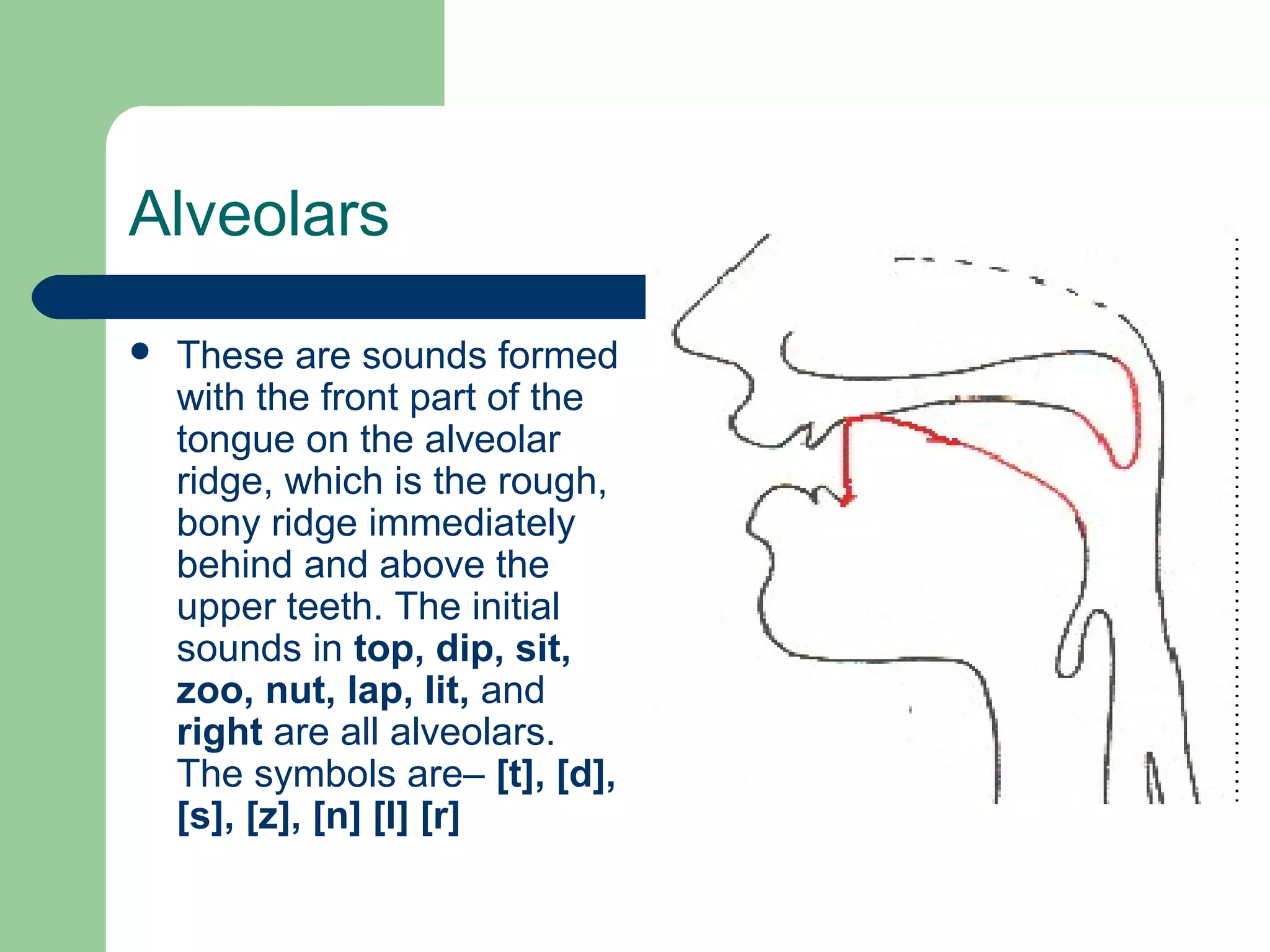 Phonetics | PPT