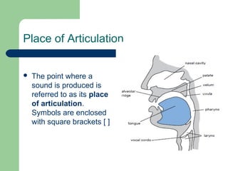 Phonetics | PPT
