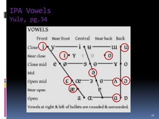 Phonetics | PPTX