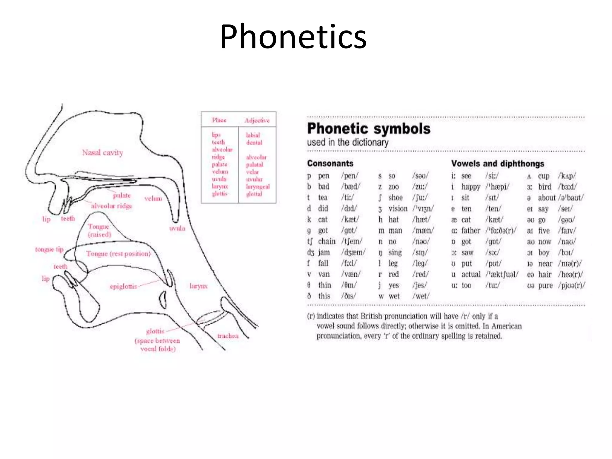 Phonetics | PPTX