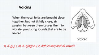 Phonetics | PPTX