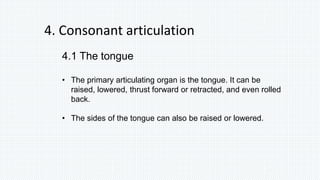 Phonetics | PPTX