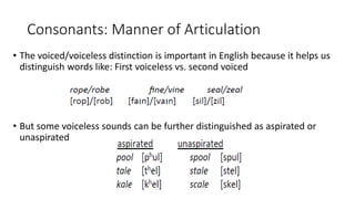 Phonetics | PPTX