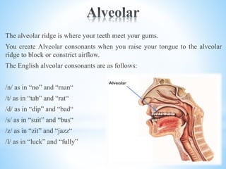 PHONETICS.pptx