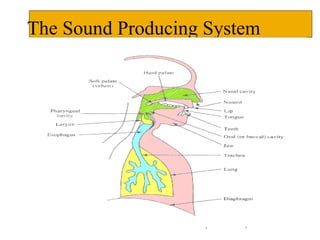 phonetics-final.ppt...................... | PPT