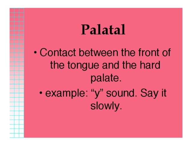 phonetics-final.ppt...................... | PPT