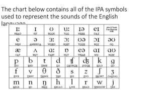 Phonetics lesson 1 - general introduction | PPTX