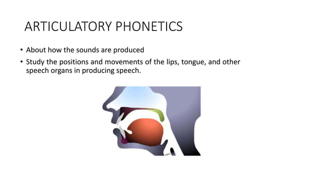 Phonetics lesson 1 - general introduction | PPTX