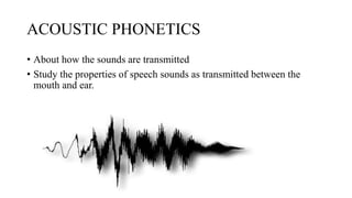 Phonetics lesson 1 - general introduction | PPTX