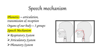 Phonetics - Articulation of Speech Sounds | PPTX