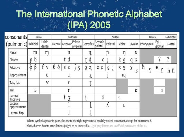 Phonetics: Speech Sound Production, IPA, Importance of Phonetics, and ...
