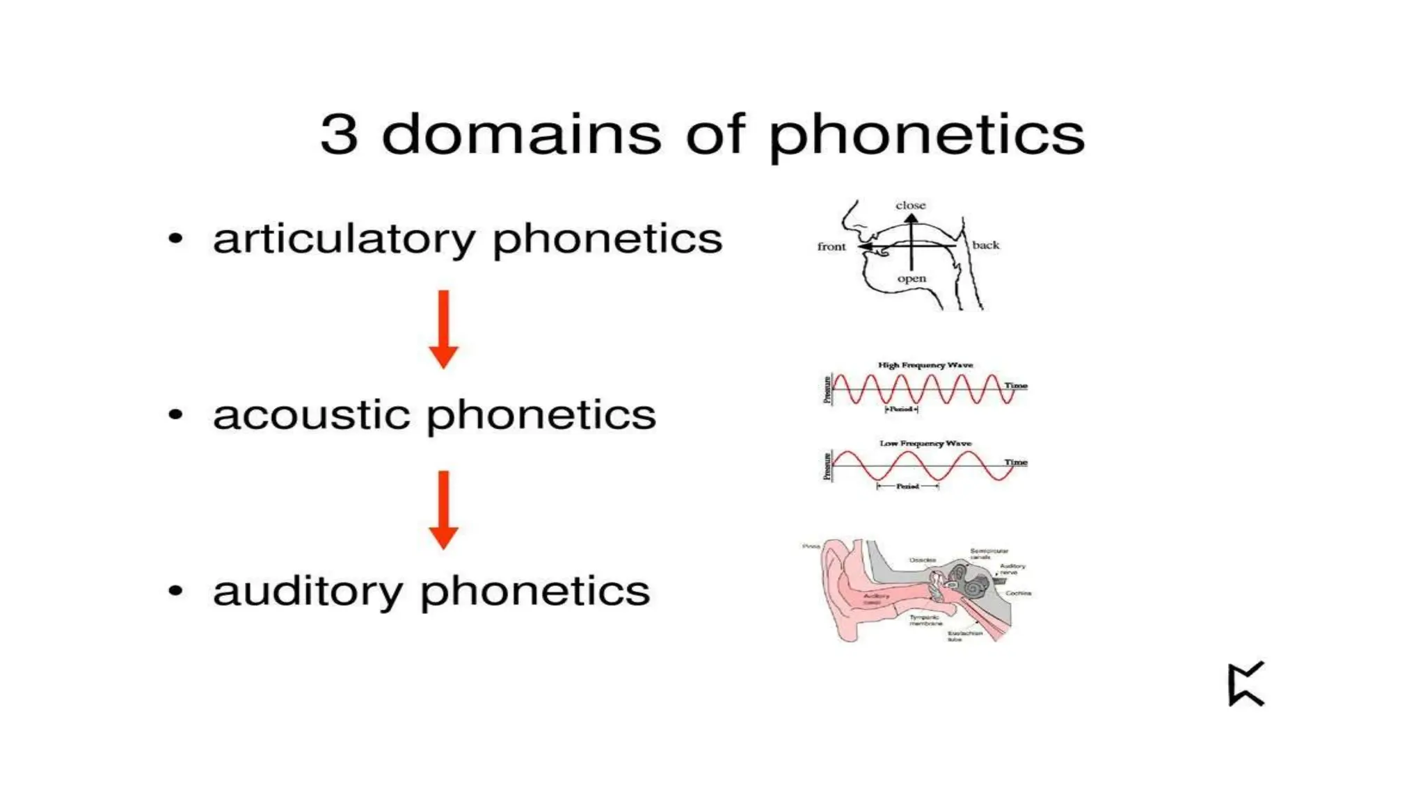 Phonetics and its types.PPTX | Audio Production | Content Production