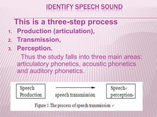 Phonetics and phonology | PPTX