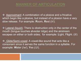 Phonetics and phonology terms | PPTX