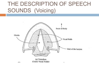 Phonetics and spoken english | PPTX