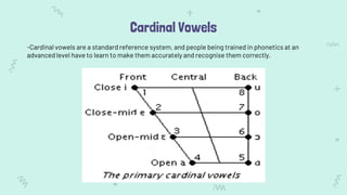 Phonetics e module | PPTX