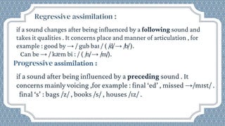 ASSIMILAION | PPTX