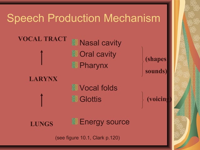 Phonetics intro ppt | PPT