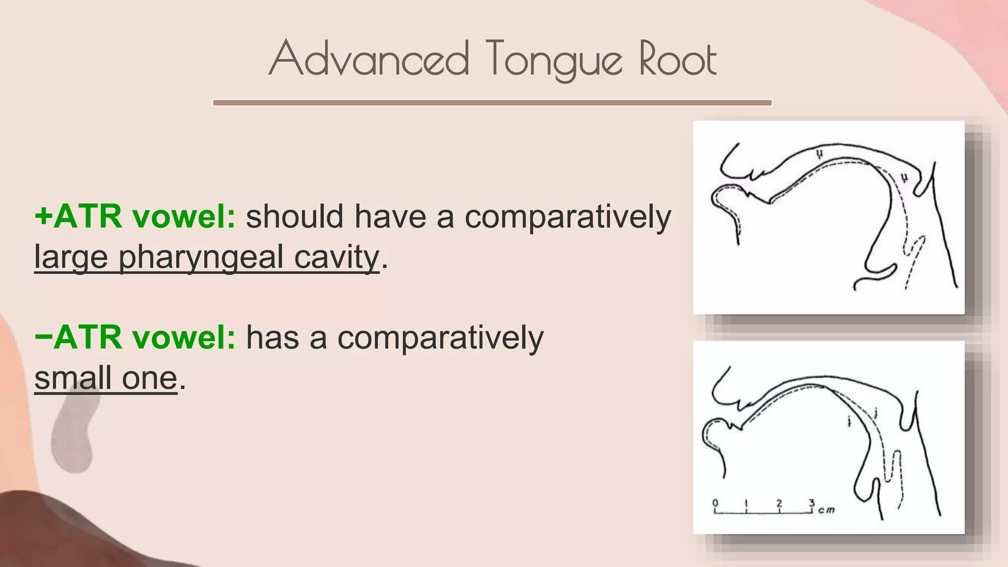 {Phonetics} ladegfoged's book ch 9 | PPT