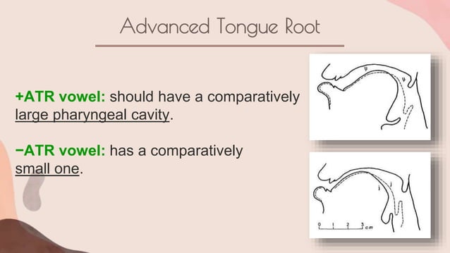 {Phonetics} ladegfoged's book ch 9 | PPT