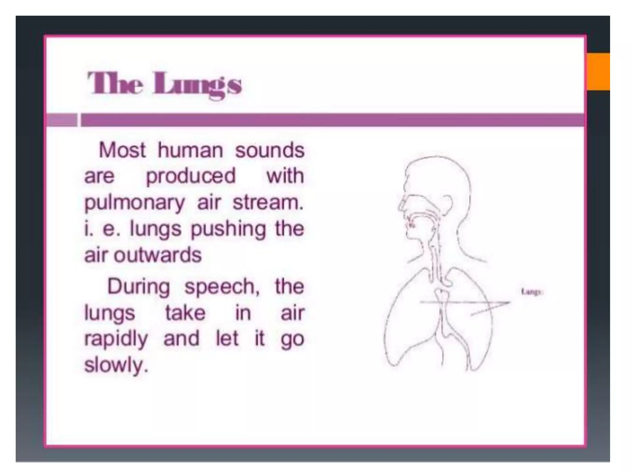 Phonetics & organs of speech | PPTX