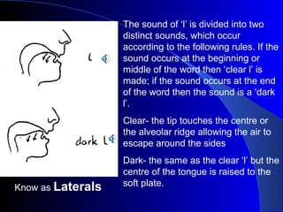 Phonetic Sounds: Mouth Anatomy For English Pronunciation, 40% OFF