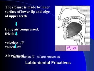 Phonetic sounds | PPT